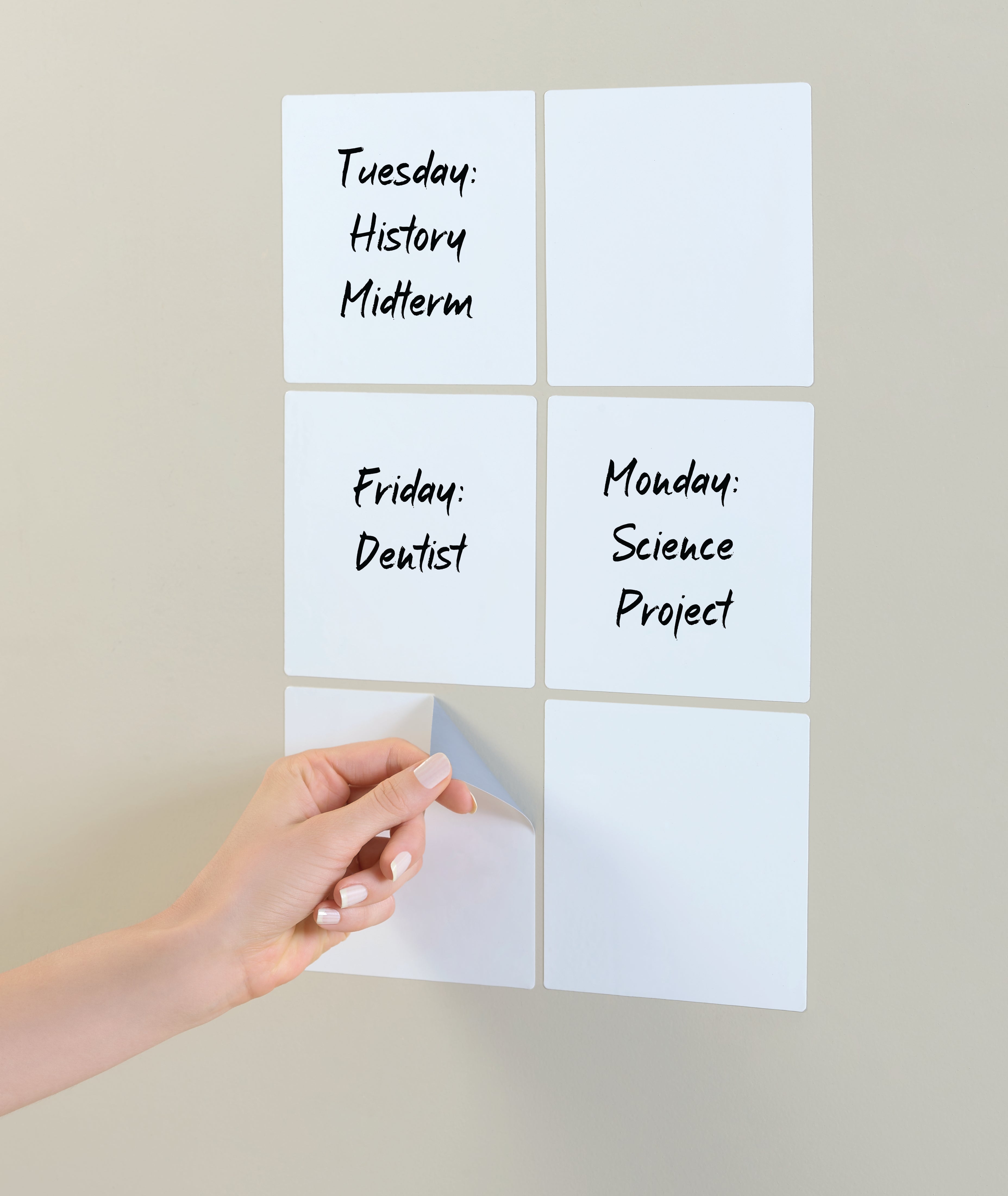 Reusable Sticky Notes – Betterware